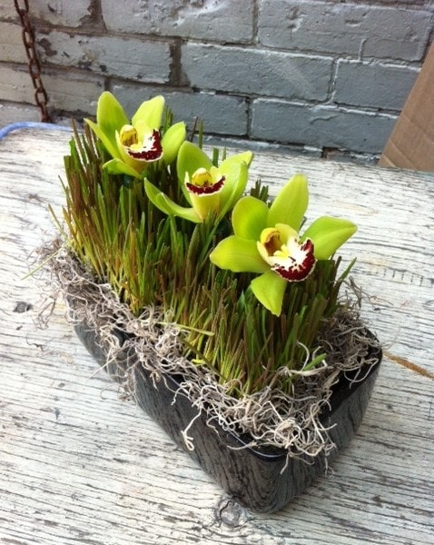 Ladybug Florist – Your Florist in Toronto for Flowers and Gifts for All ...