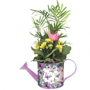 Ladybug Florist – Your Florist in Toronto for Flowers and Gifts for All ...